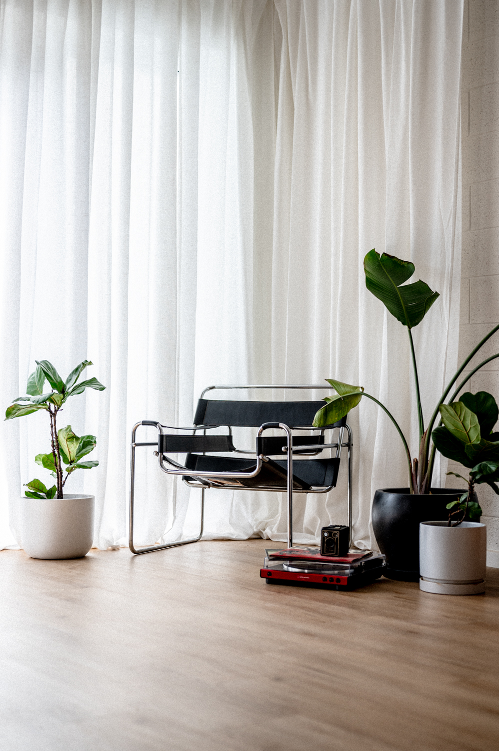 Content Studio Hire - Mindful Creatives Content Studio Hire Adelaide